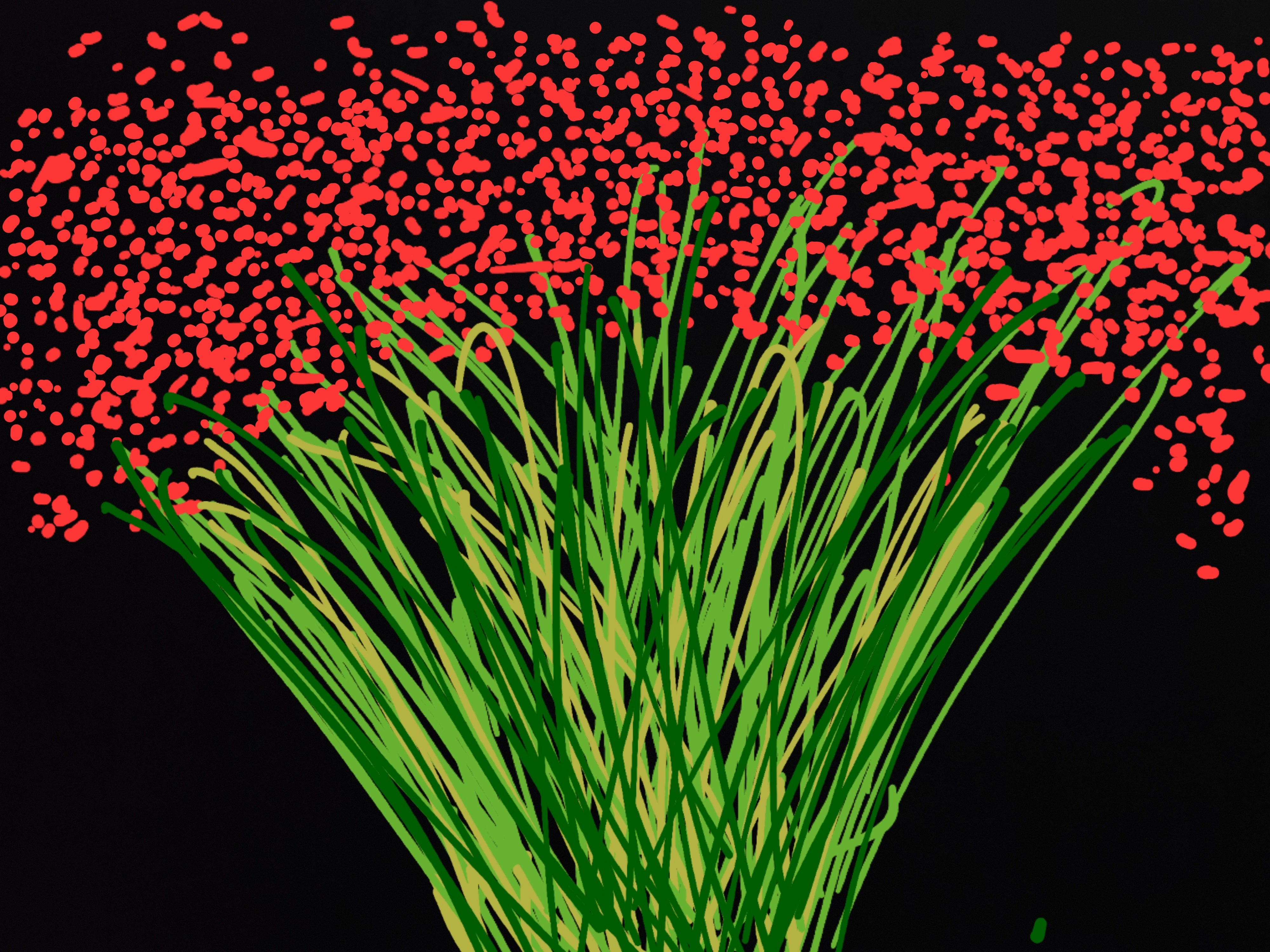 Slender Wonder Daily Injections (14 in a pack) – greendotonline.co.za